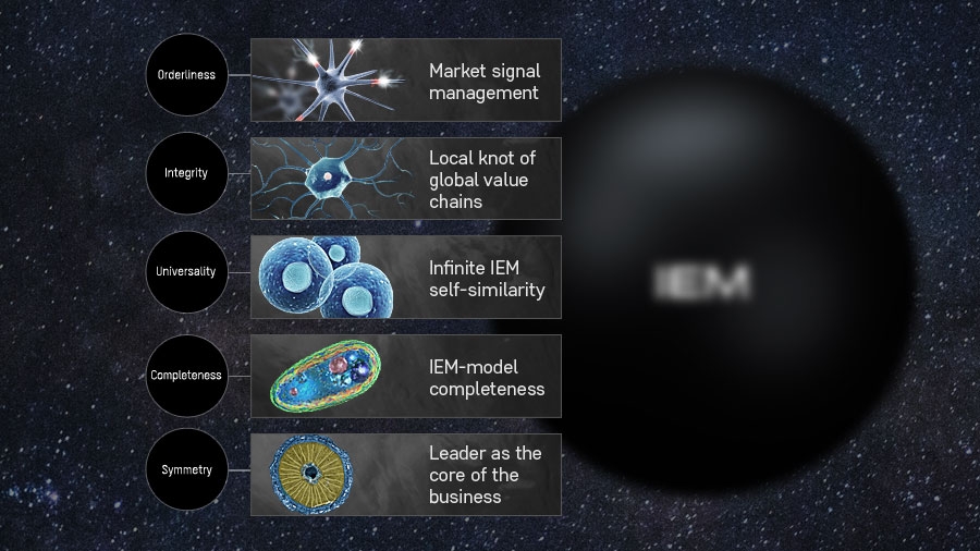 IEM model completeness | IEM Enterprise: Profitability Extremum ...